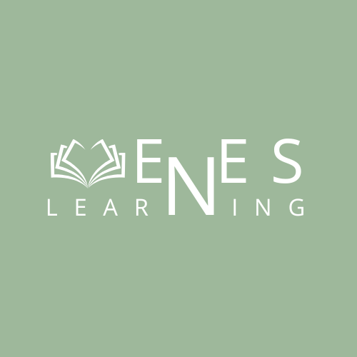 Blog – Enes learning
